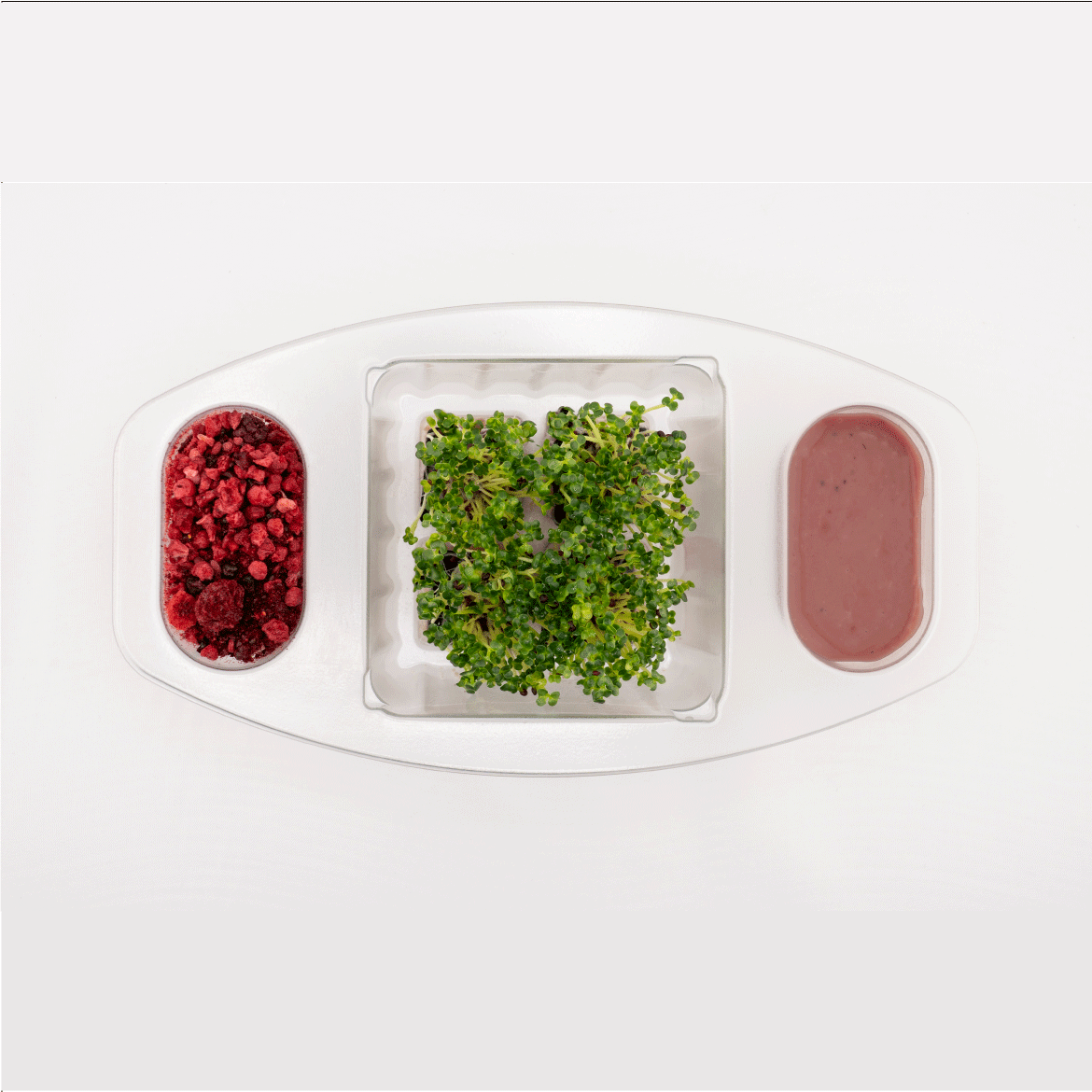CiboCi Antiox Regeneration con microgreen – Babasucco